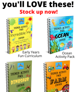 Minibeast Activity Pack - Curious Little Monkeys Educational Resources